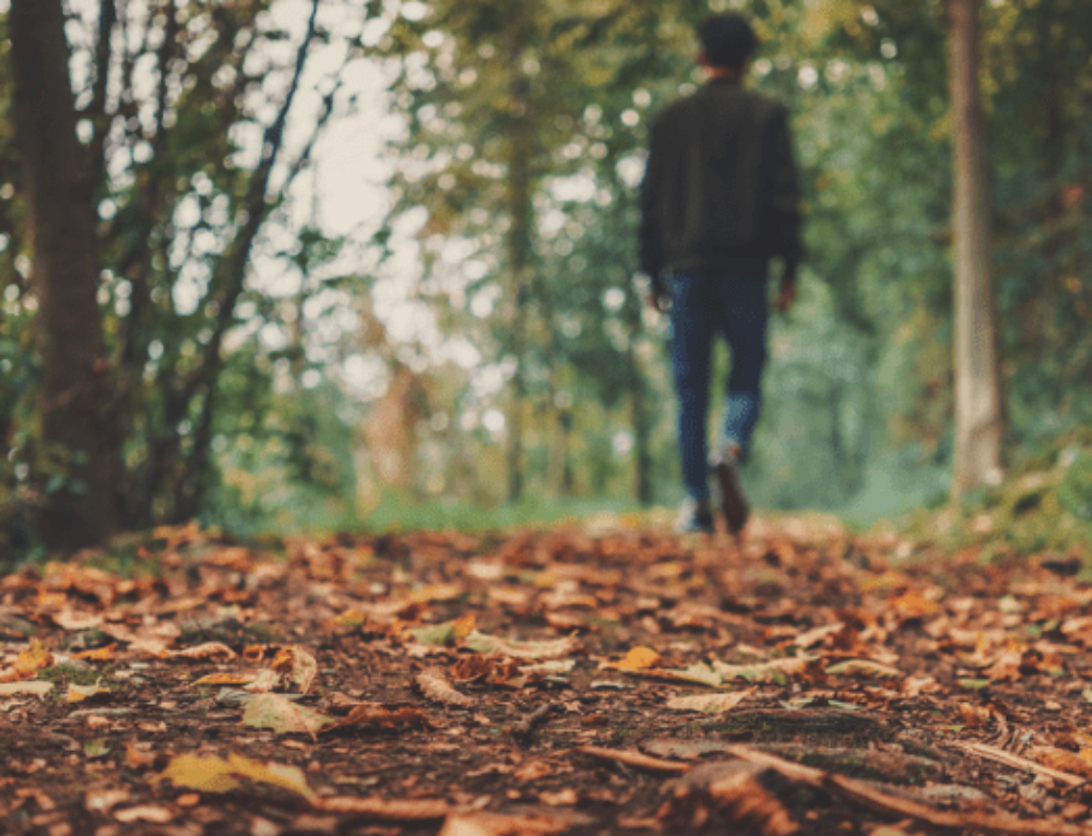 Sensaciones, emociones, sentimientos, juicios y estados de ánimo